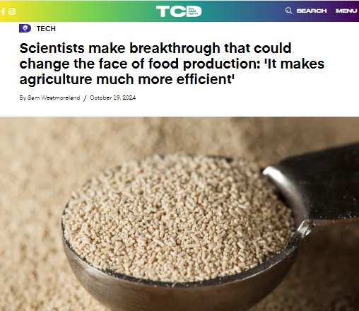 Random Dose of Optimism: Real-Life “Tasty Wheat” – Ash Clifton, Writer